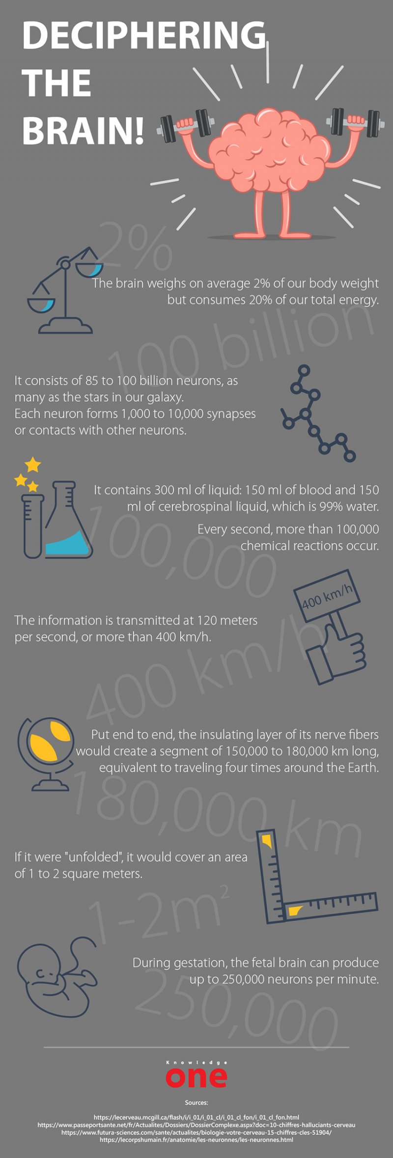 [INFOGRAPHIC] Deciphering the Brain - KnowledgeOne