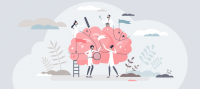 4 Branches of Neuroscience - KnowledgeOne